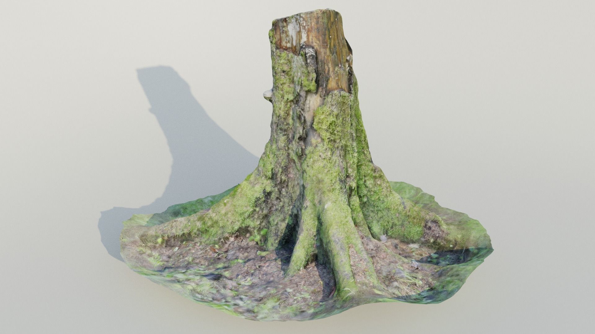 3D model Photoscanned Low Poly Trunk VR / AR / low-poly | CGTrader