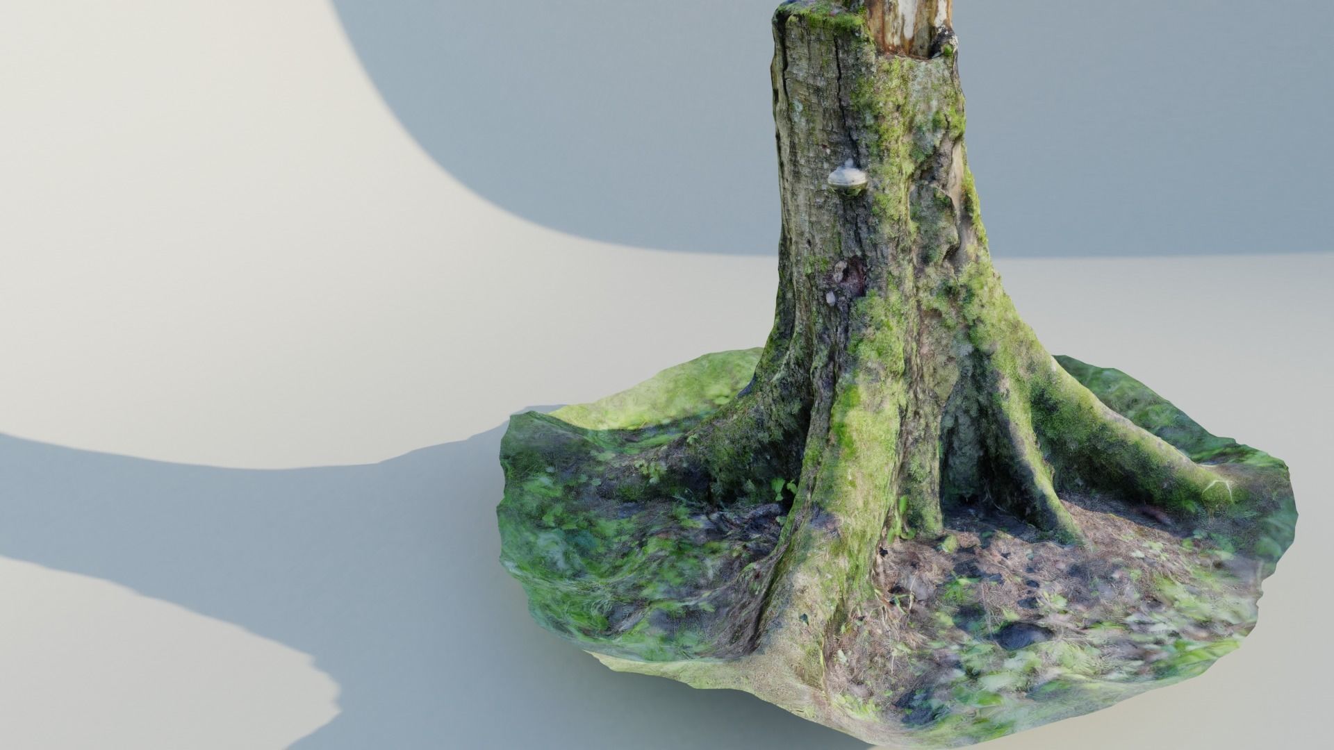 3D model Photoscanned Low Poly Trunk VR / AR / low-poly | CGTrader