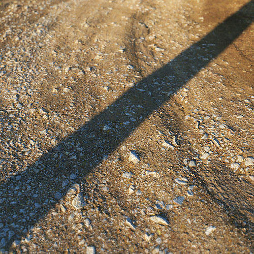 3D model Summer dirt road 25 meters VR / AR / low-poly | CGTrader