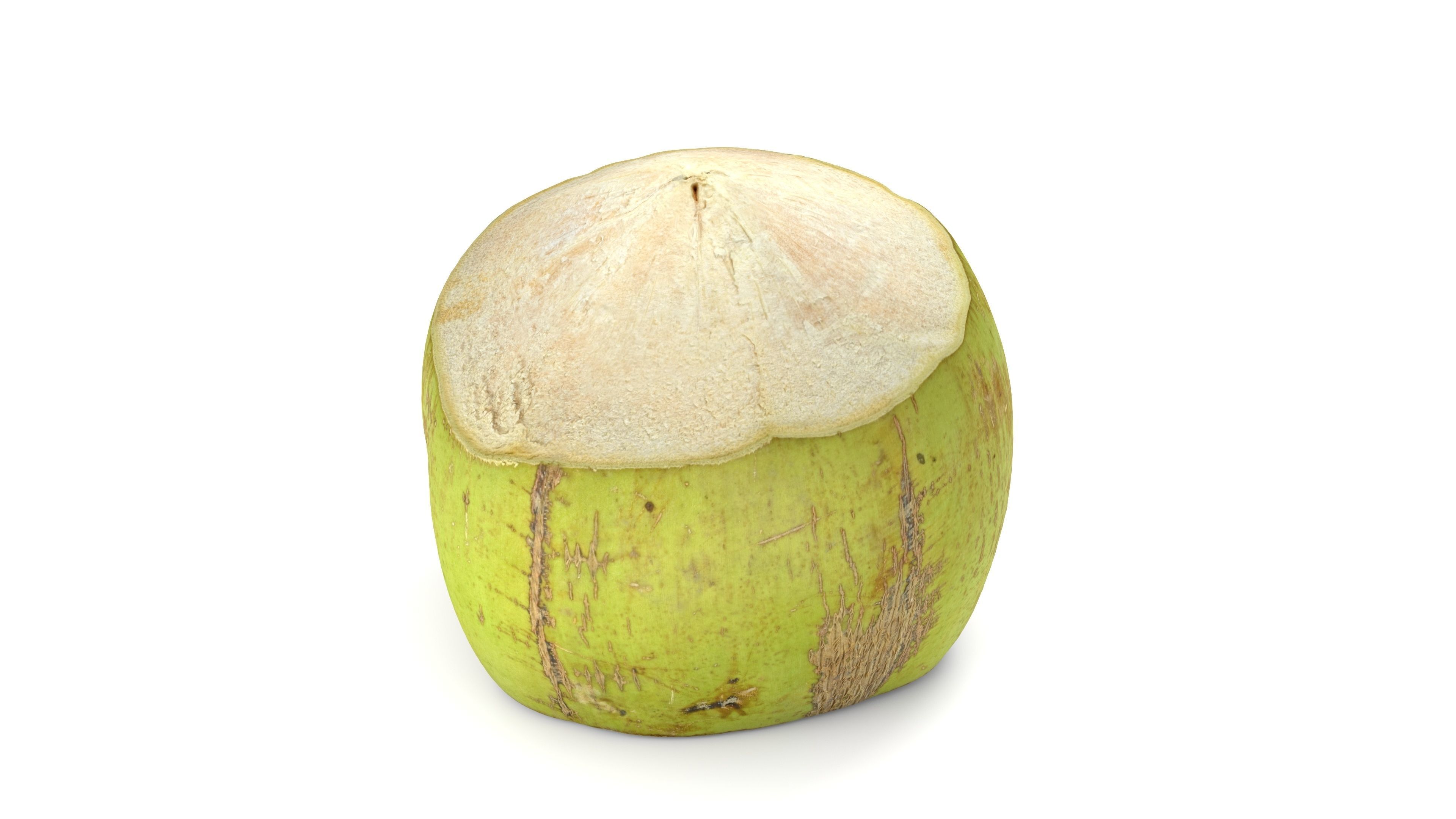3D model Green Coconut VR / AR / low-poly | CGTrader