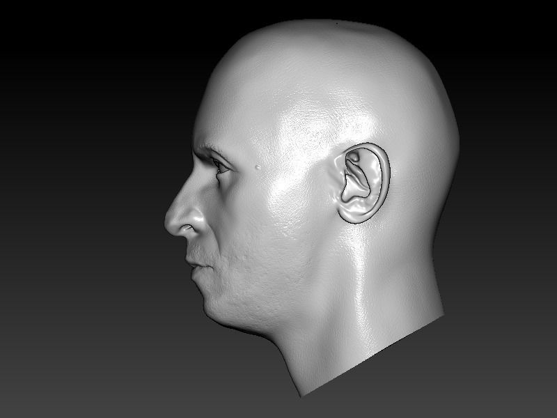 Vin Diesel head 3D model 3D printable | CGTrader