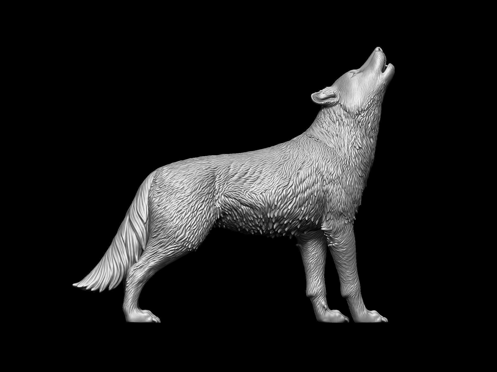 Howling Wolf 3D model 3D printable | CGTrader