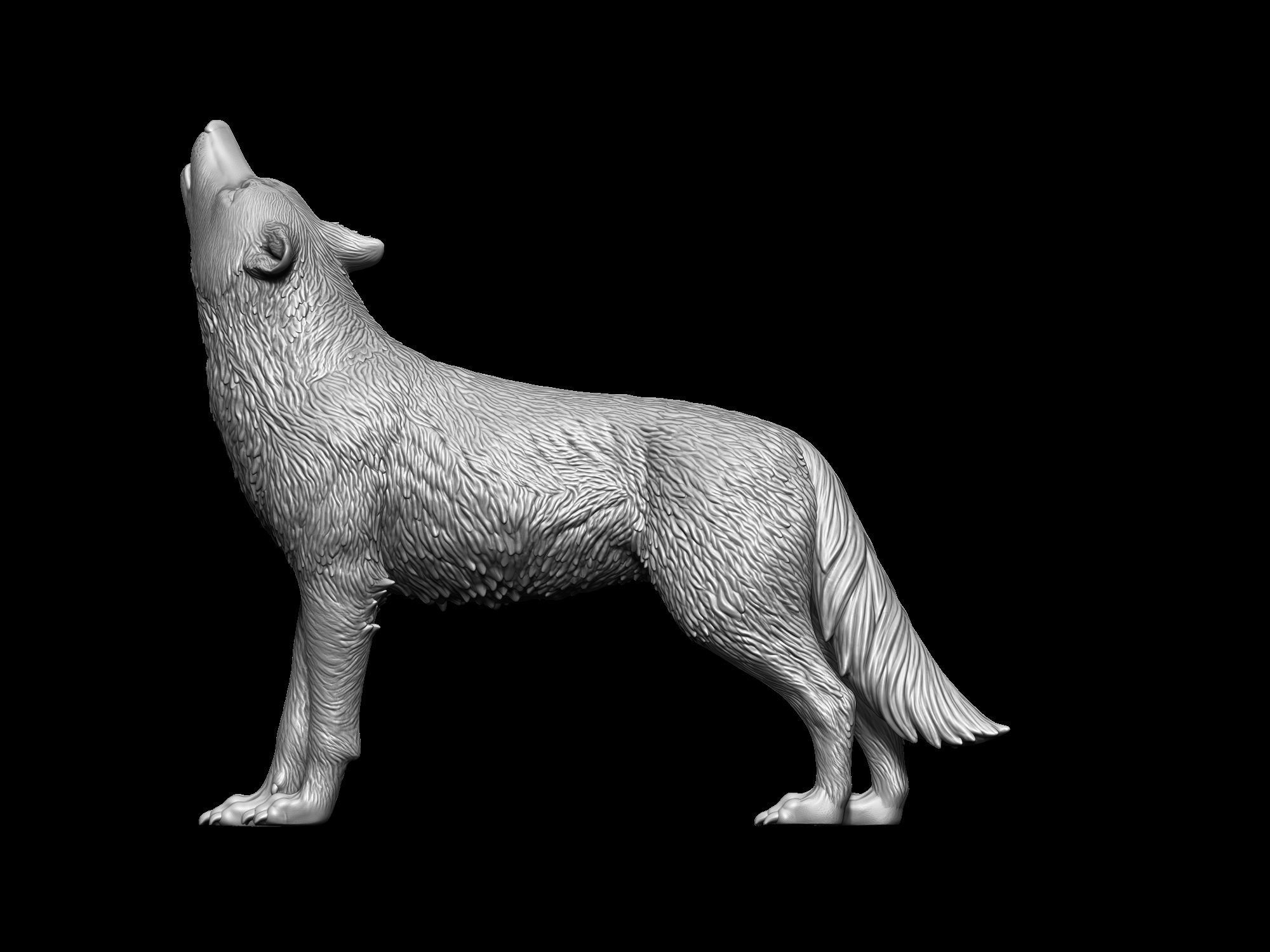 Howling Wolf 3D model 3D printable | CGTrader