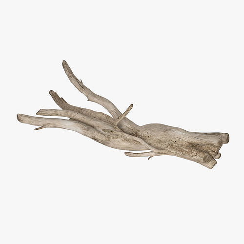 Snag branch 3D model | CGTrader