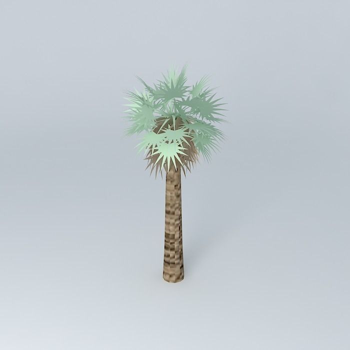 Washingtonia palm free 3D model | CGTrader