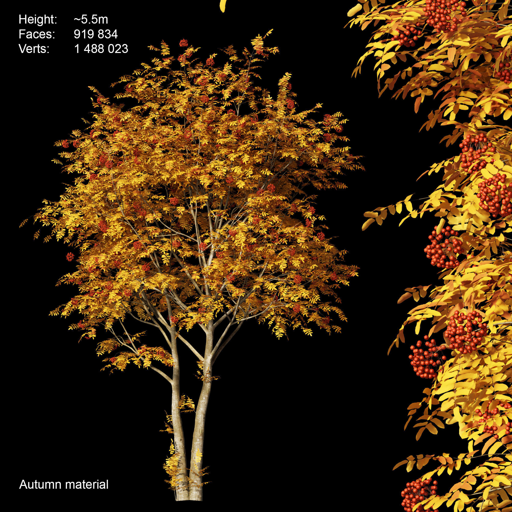 Collection Rowan 3D model | CGTrader