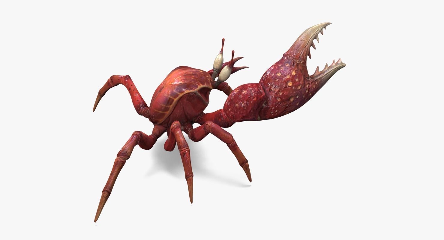 3D model Fiddler Crab VR / AR / low-poly | CGTrader