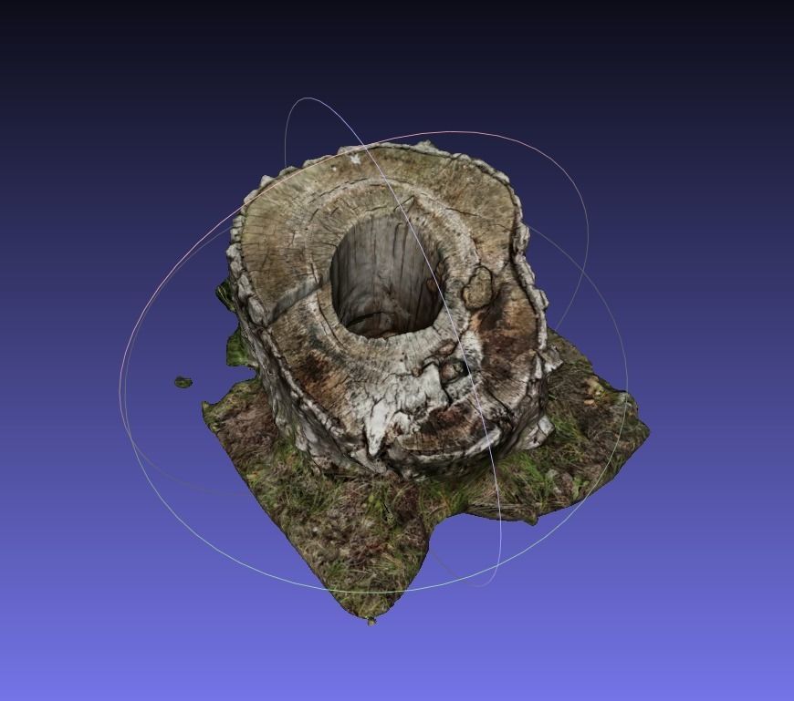 Tree snag 3D model | CGTrader