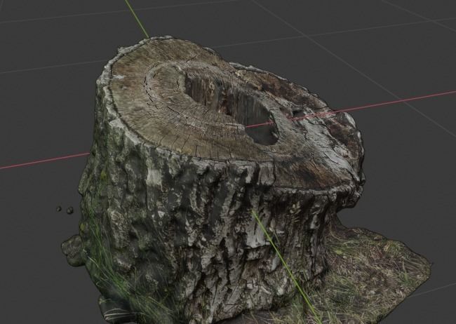 Tree snag 3D model | CGTrader
