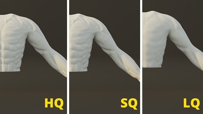 Man Torso - High Mid Low Poly Package free 3D model | CGTrader