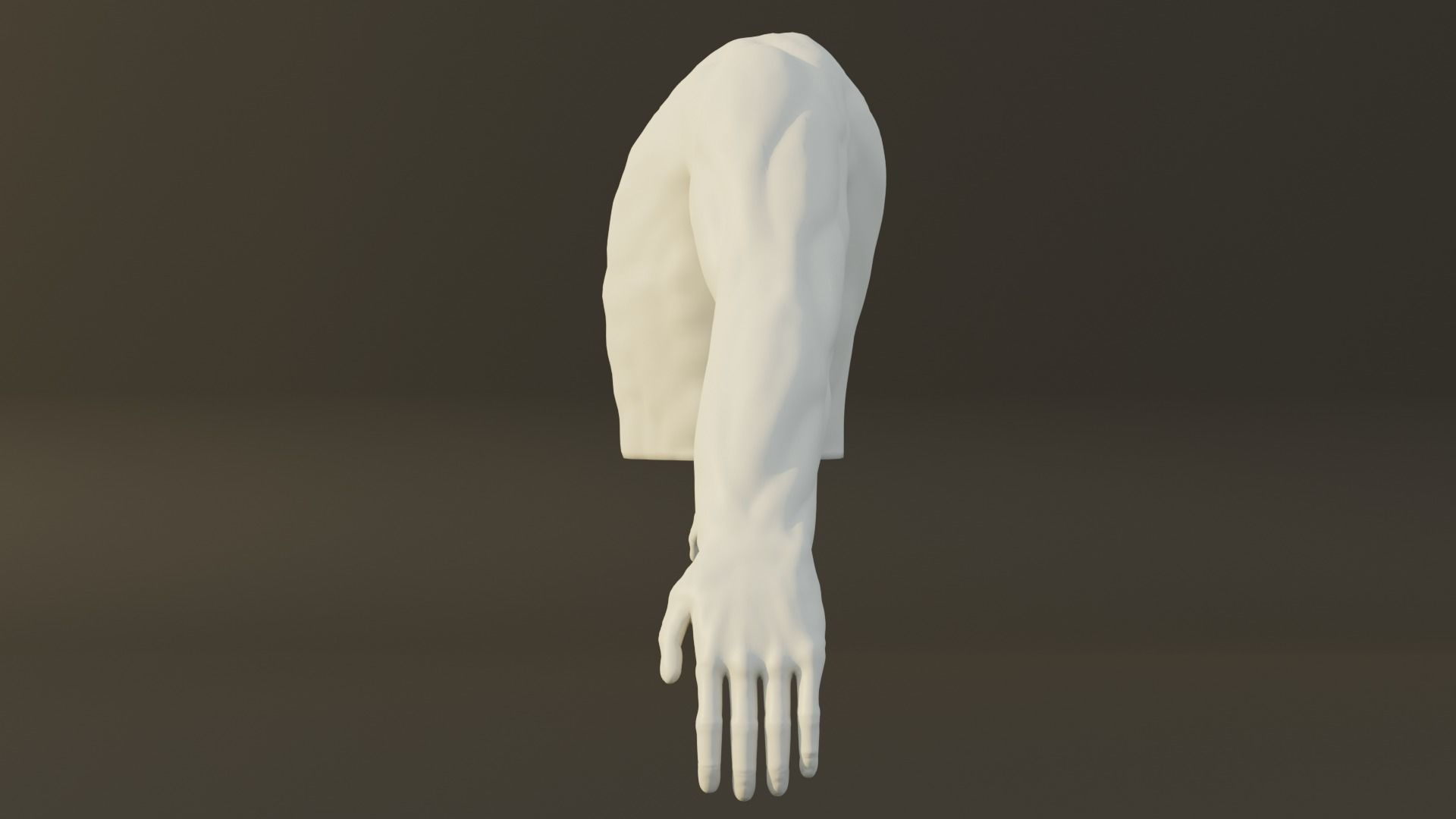 Man Torso - Low Poly Model free 3D model | CGTrader