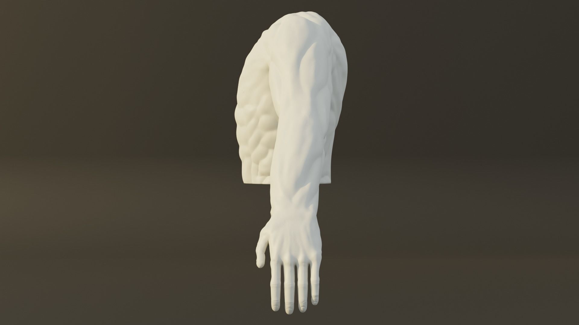 Man Torso - Standard Quality Polygon Model free 3D model | CGTrader