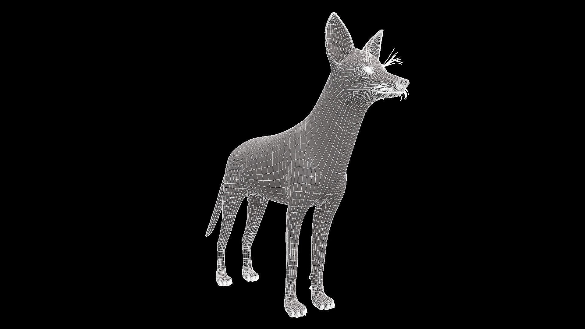 Realistic jackal animal 3d model 3D model rigged | CGTrader