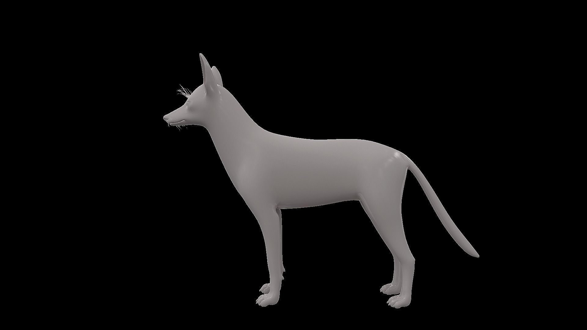 Realistic jackal animal 3d model 3D model rigged | CGTrader