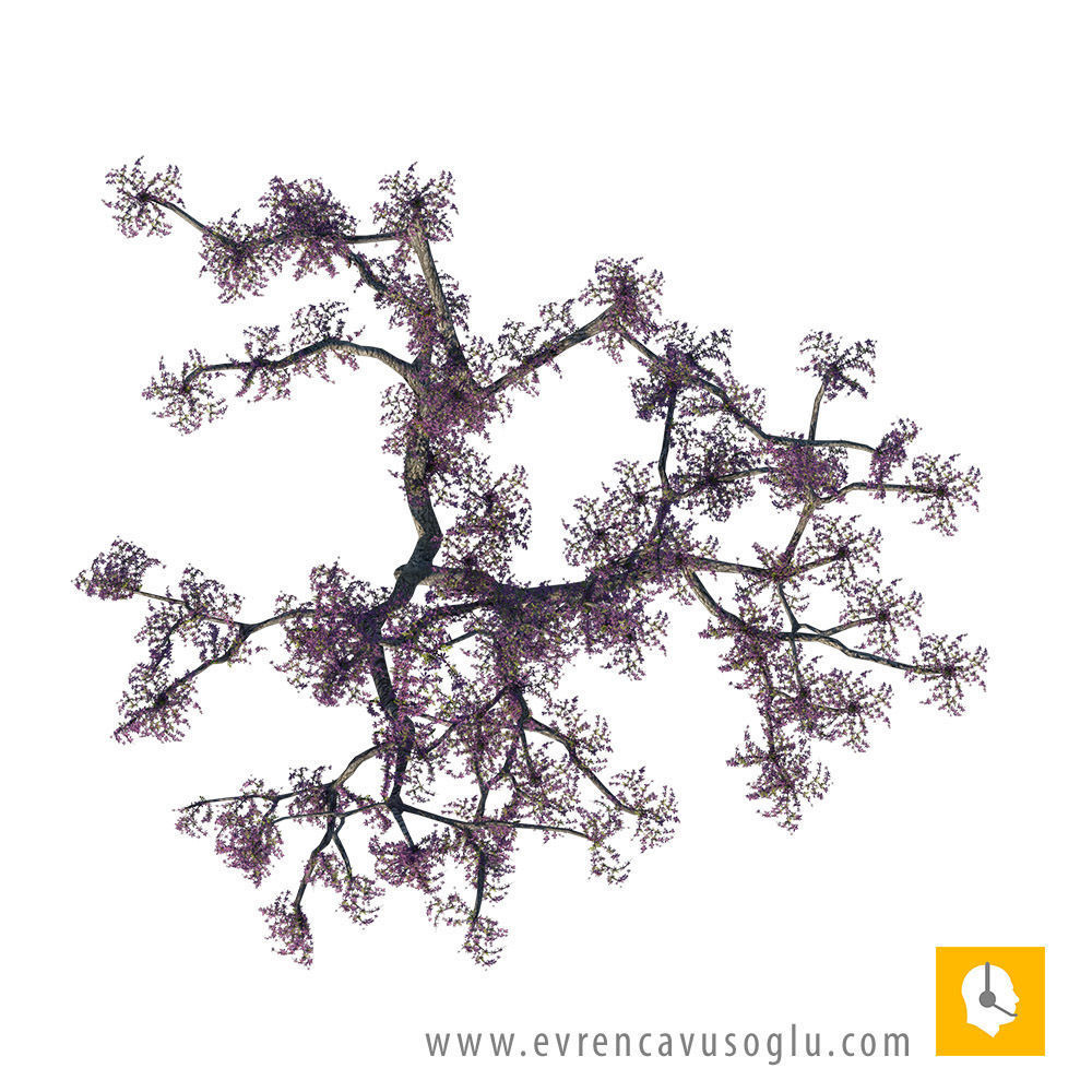 2D High Resolution Trees with PSD free Texture | CGTrader