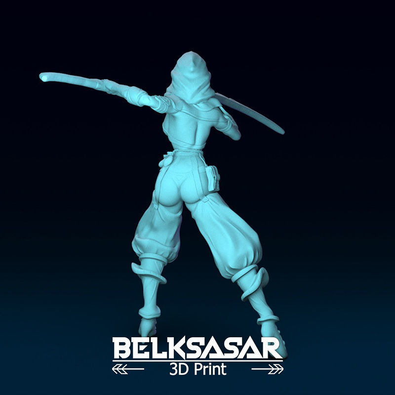 Fantasy Female Assassin 3D model 3D printable | CGTrader