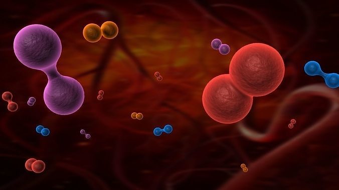 Cell division animation 3D model | CGTrader