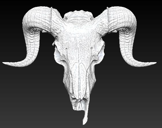 Ram skull 3D model 3D printable | CGTrader