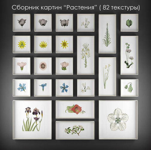 Picture Frames - Plants 3D model | CGTrader