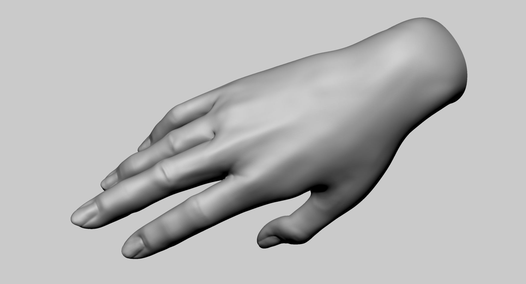 Female Hand Printable 3D model 3D printable | CGTrader