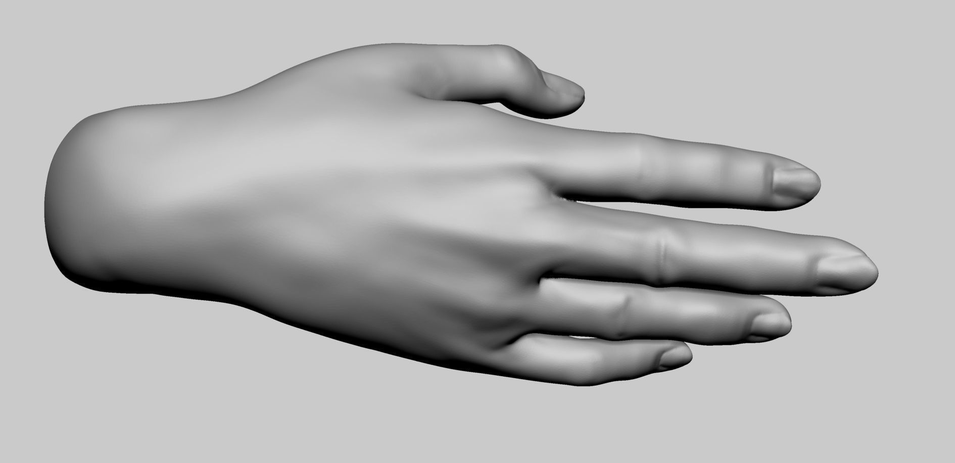 Female Hand Printable 3D model 3D printable | CGTrader
