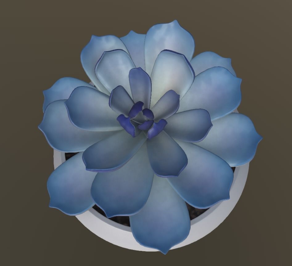 Flower with 4 different texture variations 3D model | CGTrader