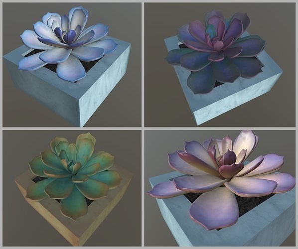 Flowers with 4 different textures variation 3D model | CGTrader