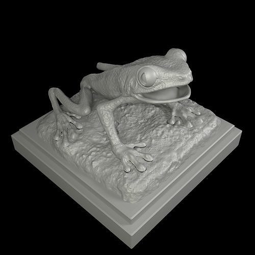 Red eyed Treefrog 3D Print Model 3D model 3D printable | CGTrader