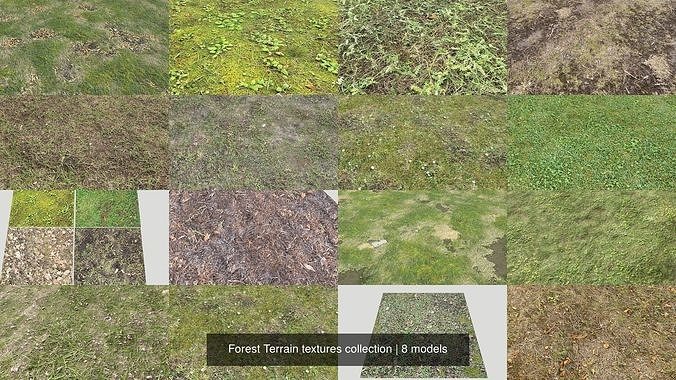 Forest Terrain textures collection | CGTrader