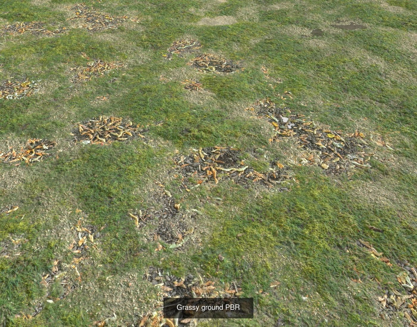 Forest Terrain textures collection | CGTrader