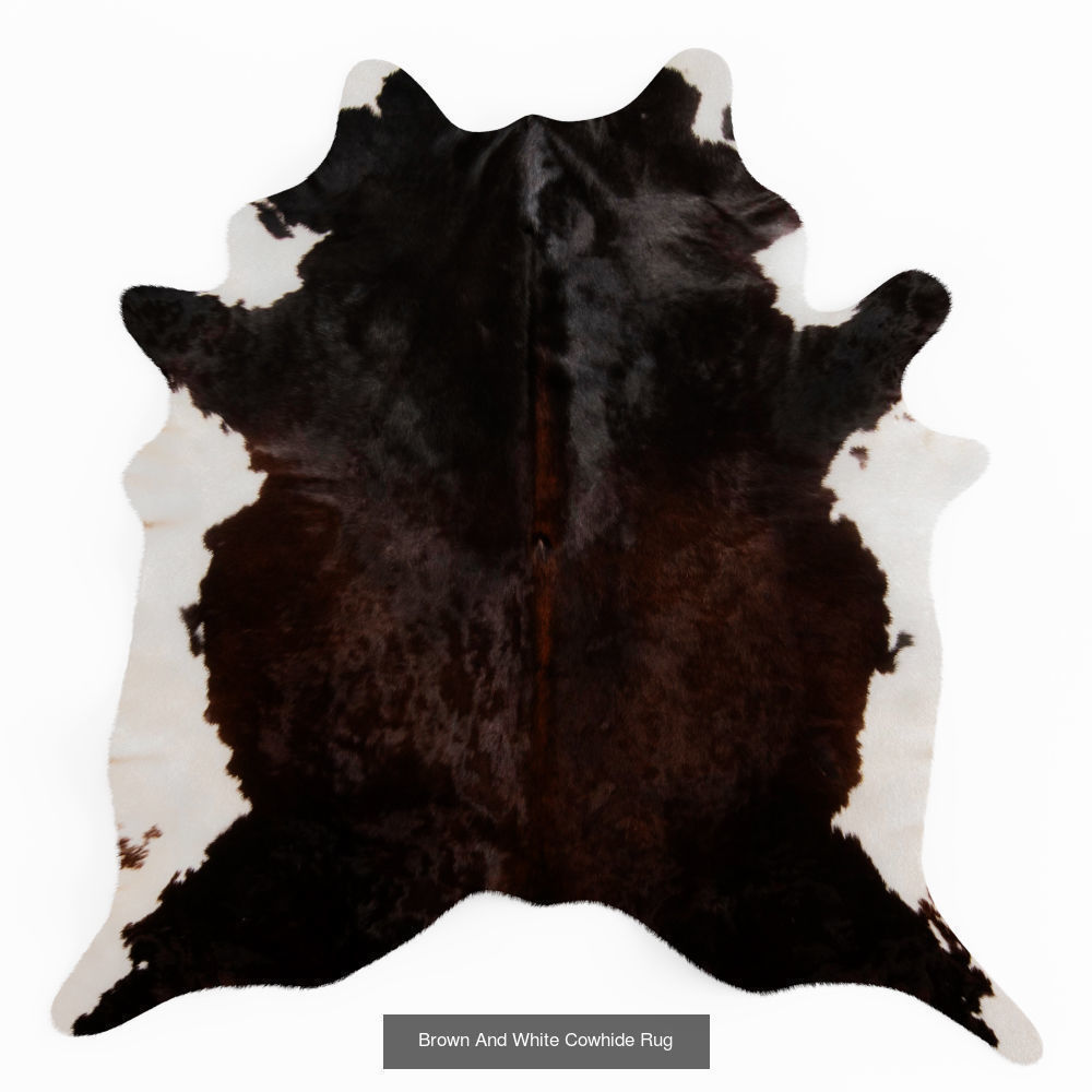 Collection of 39 animal skin rugs | CGTrader