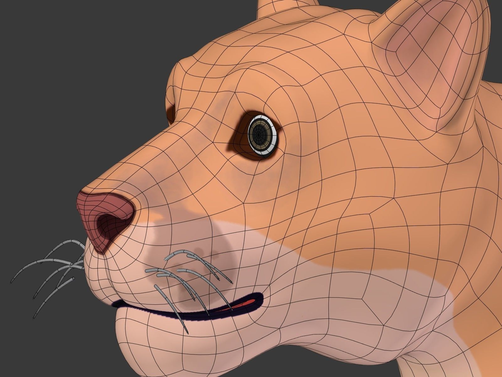 3D model Cartoon Cougar VR / AR / low-poly | CGTrader