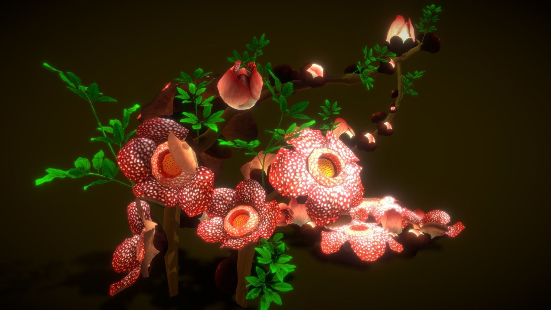 3D model Flower Rafflesia arnoldii VR / AR / low-poly | CGTrader