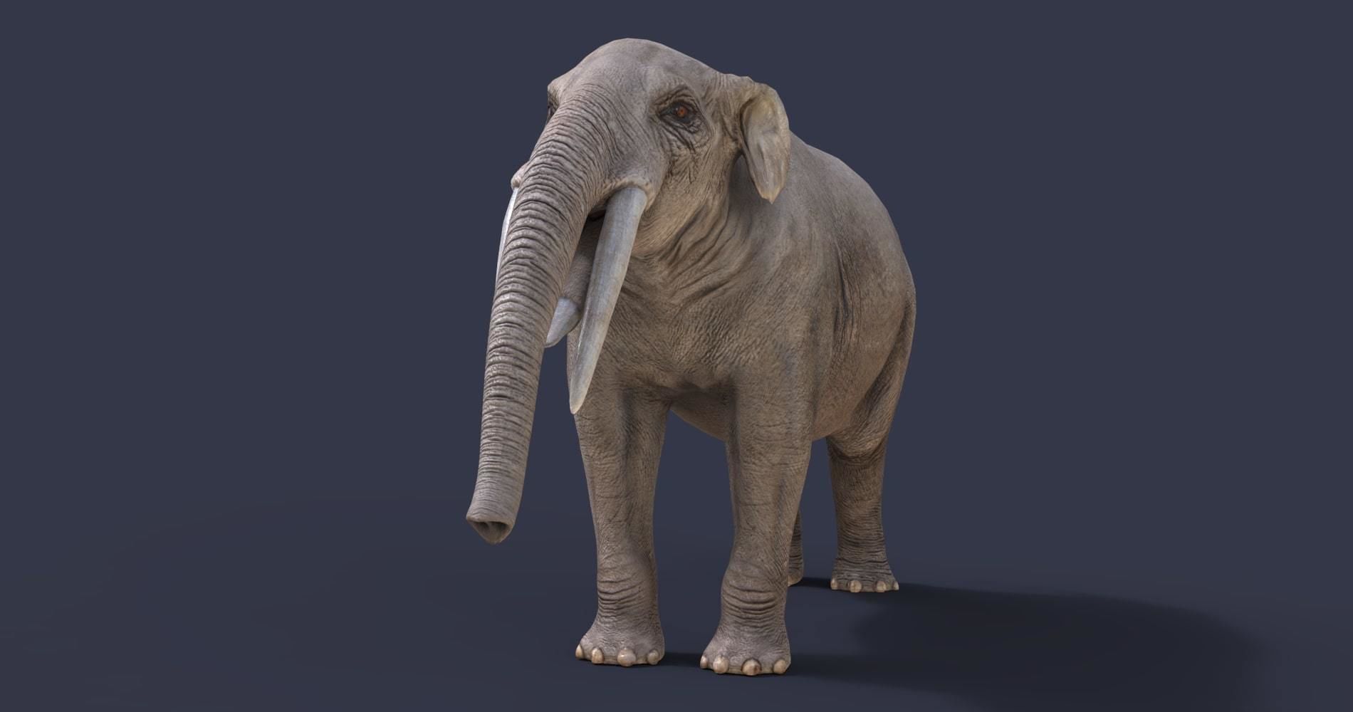 3D model Extinct animals pack version 10 VR / AR / low-poly | CGTrader