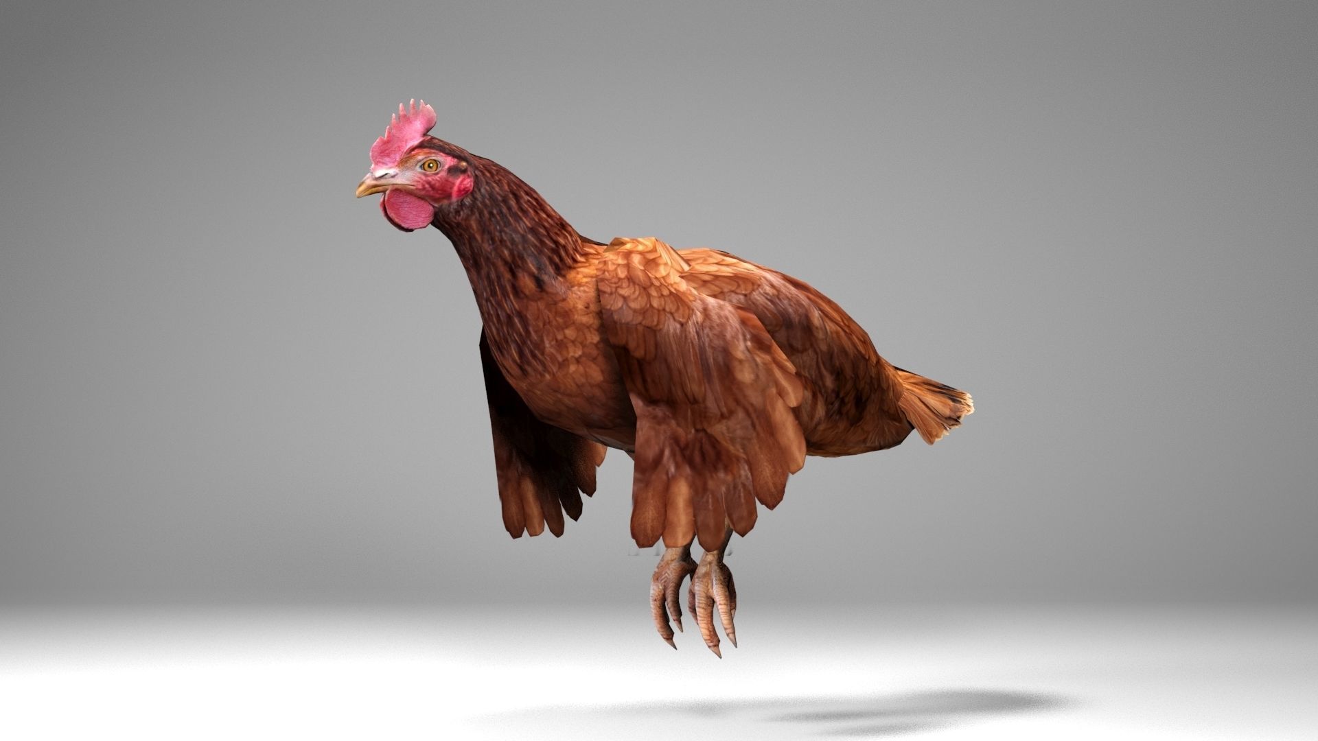 3D model Chicken VR / AR / low-poly rigged animated | CGTrader