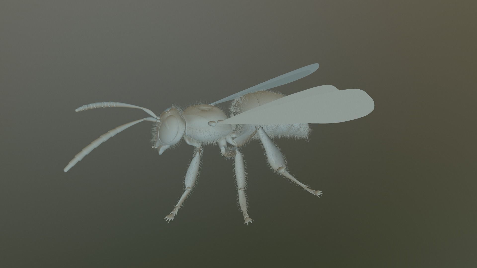 bee polygon 3D model | CGTrader