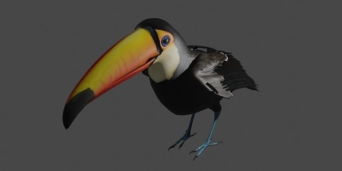 3D model Toucan VR / AR / low-poly | CGTrader