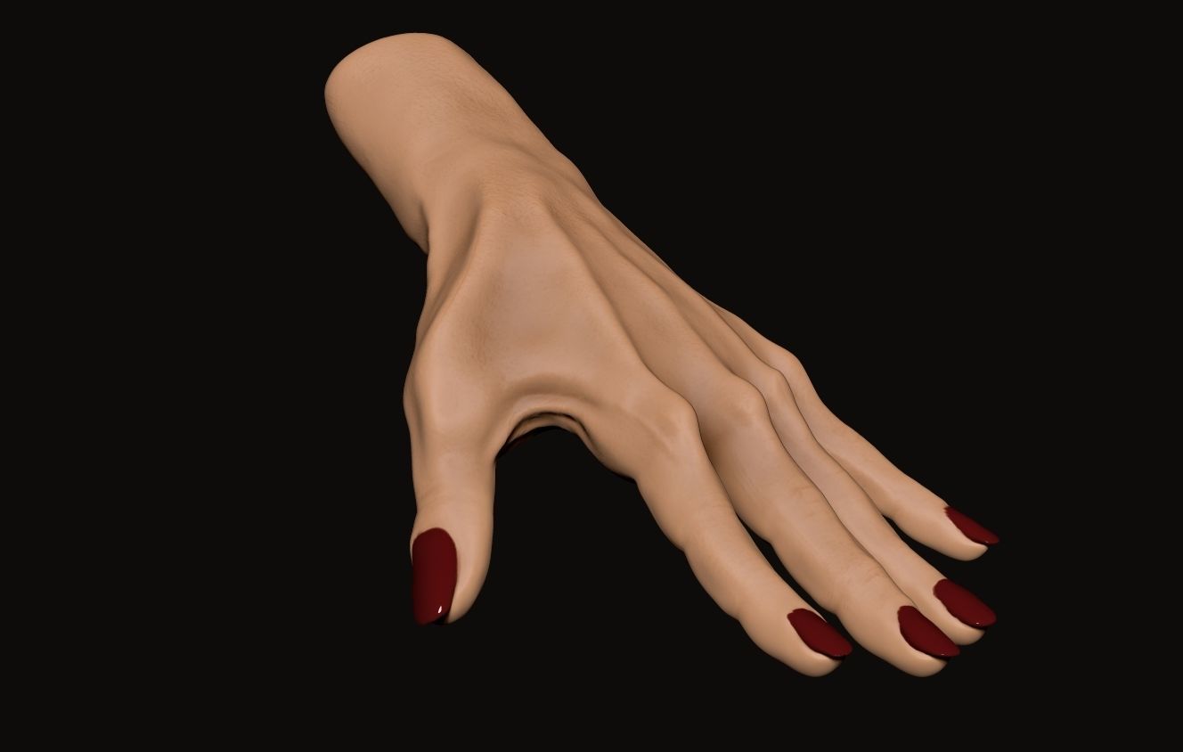 Female Hand Sculpt 3D model | CGTrader