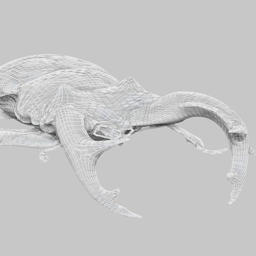 3D model Insect Collection Vol 1 VR / AR / low-poly OBJ | CGTrader.com