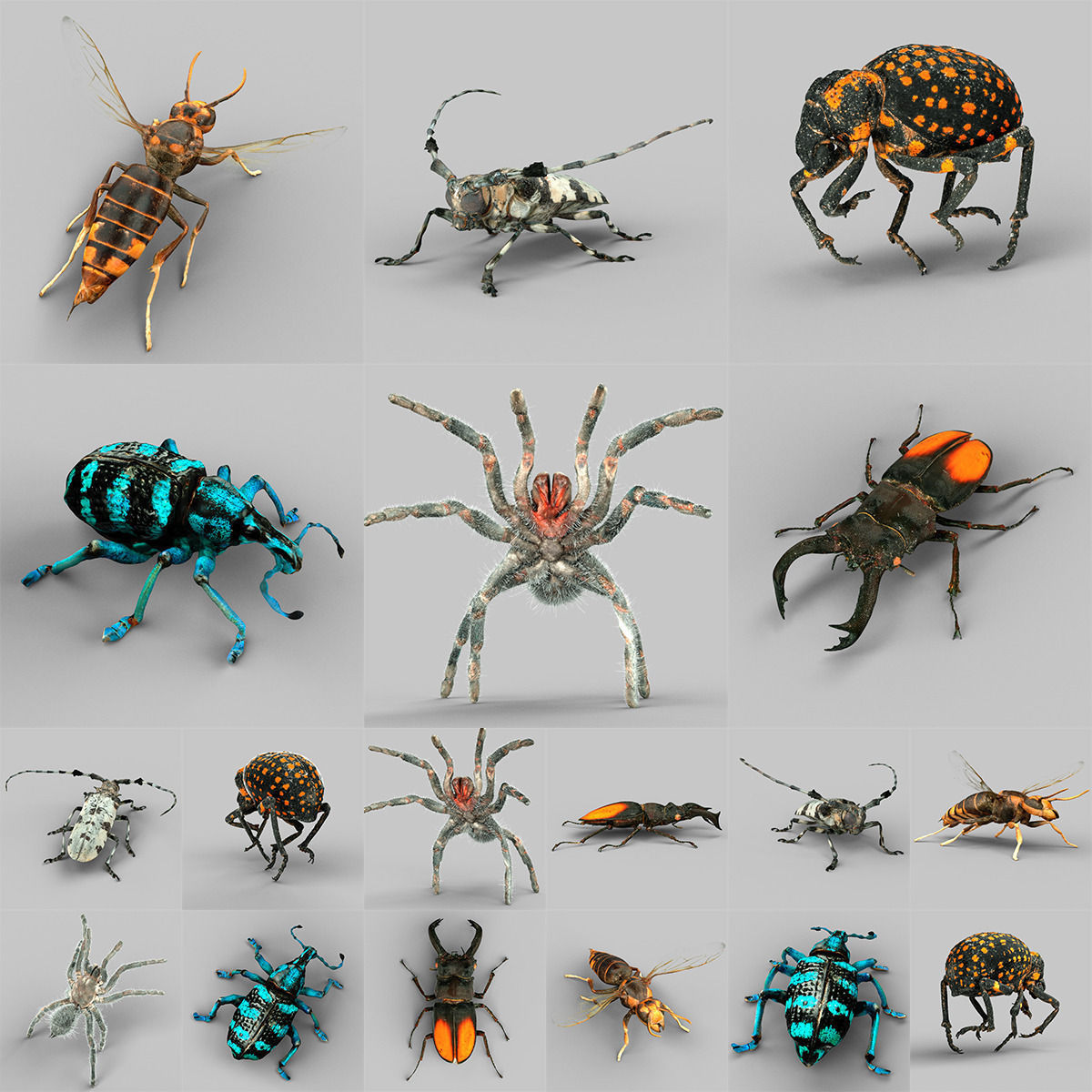 3D model Insect Collection Vol 1 VR / AR / low-poly | CGTrader