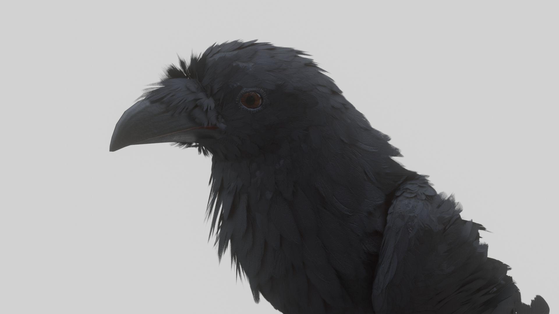 3D model Animated Low Poly Raven Model With PBR Materials VR / AR / low ...