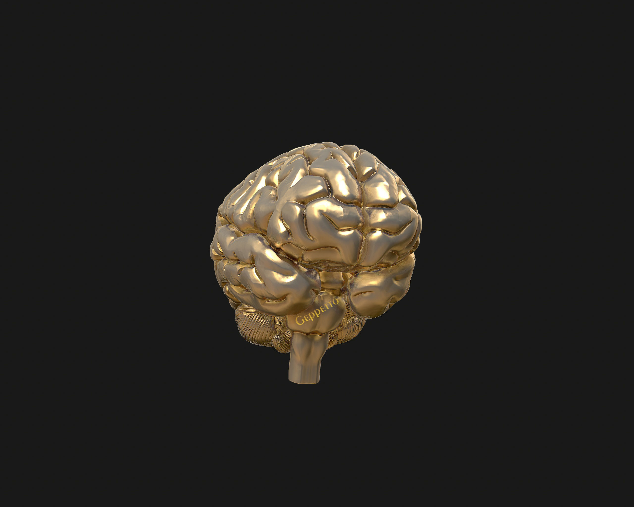 human Brain 3D model Ready to 3D print 3D model 3D printable | CGTrader