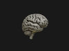 human Brain 3D model Ready to 3D print 3D model 3D printable | CGTrader