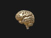 human Brain 3D model Ready to 3D print 3D model 3D printable | CGTrader