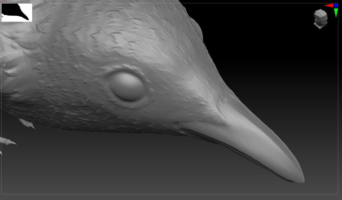 Magpie 3D model 3D printable | CGTrader