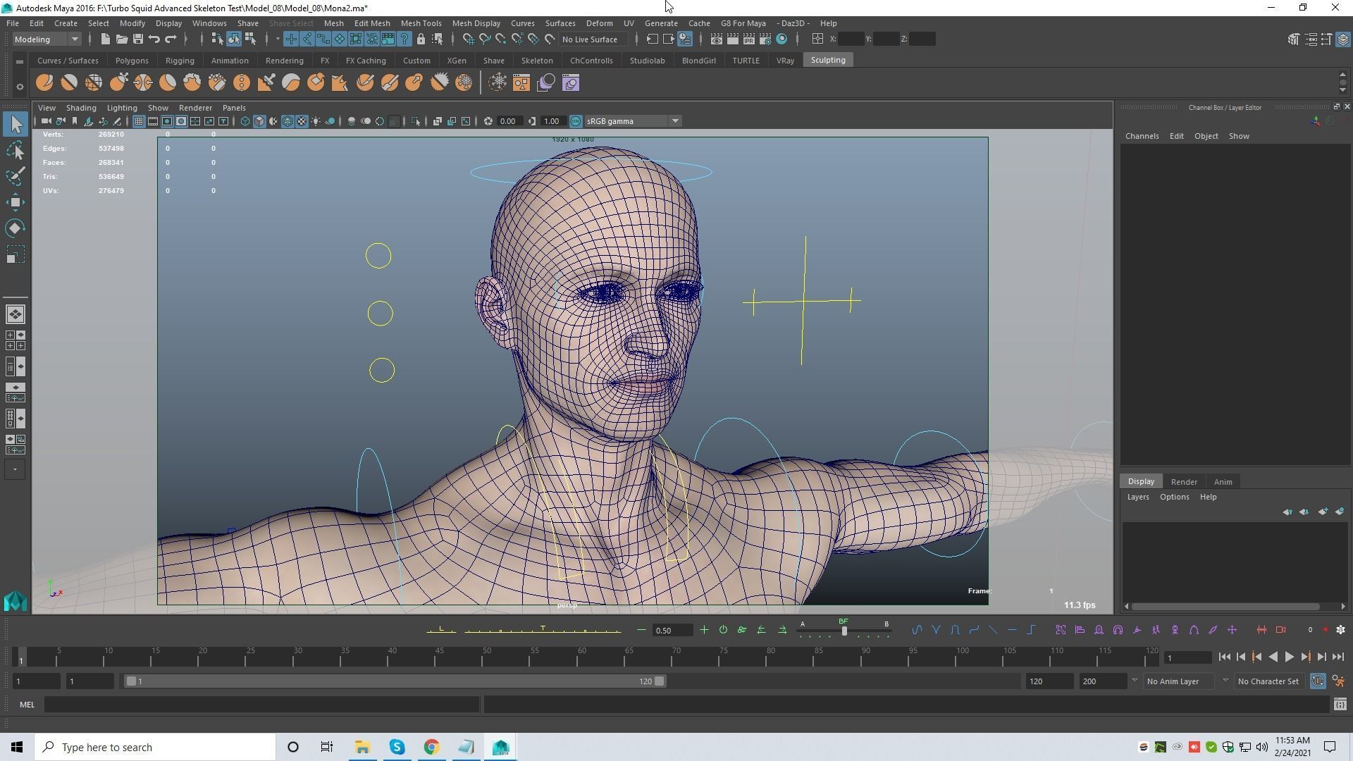 Male full body Rig 3D model rigged | CGTrader