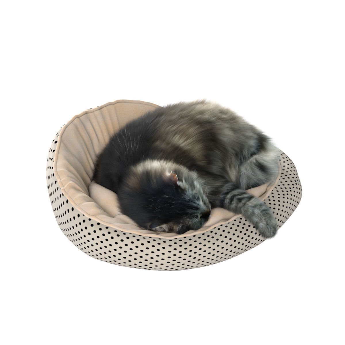 Sleeping Cat 3D model | CGTrader