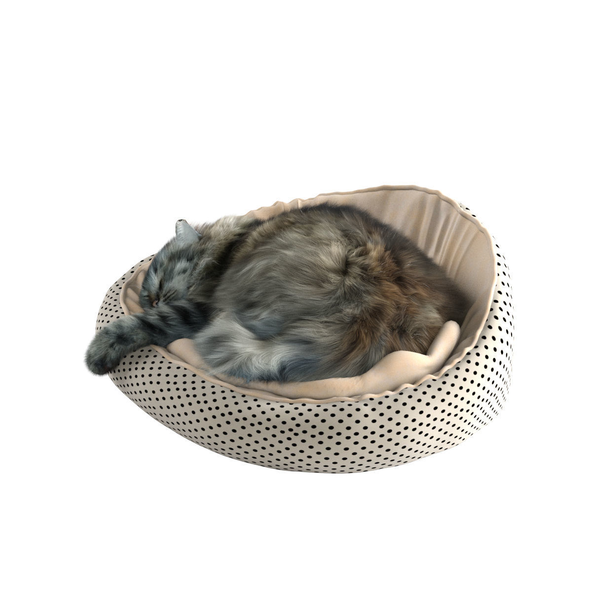 Sleeping Cat 3D model | CGTrader