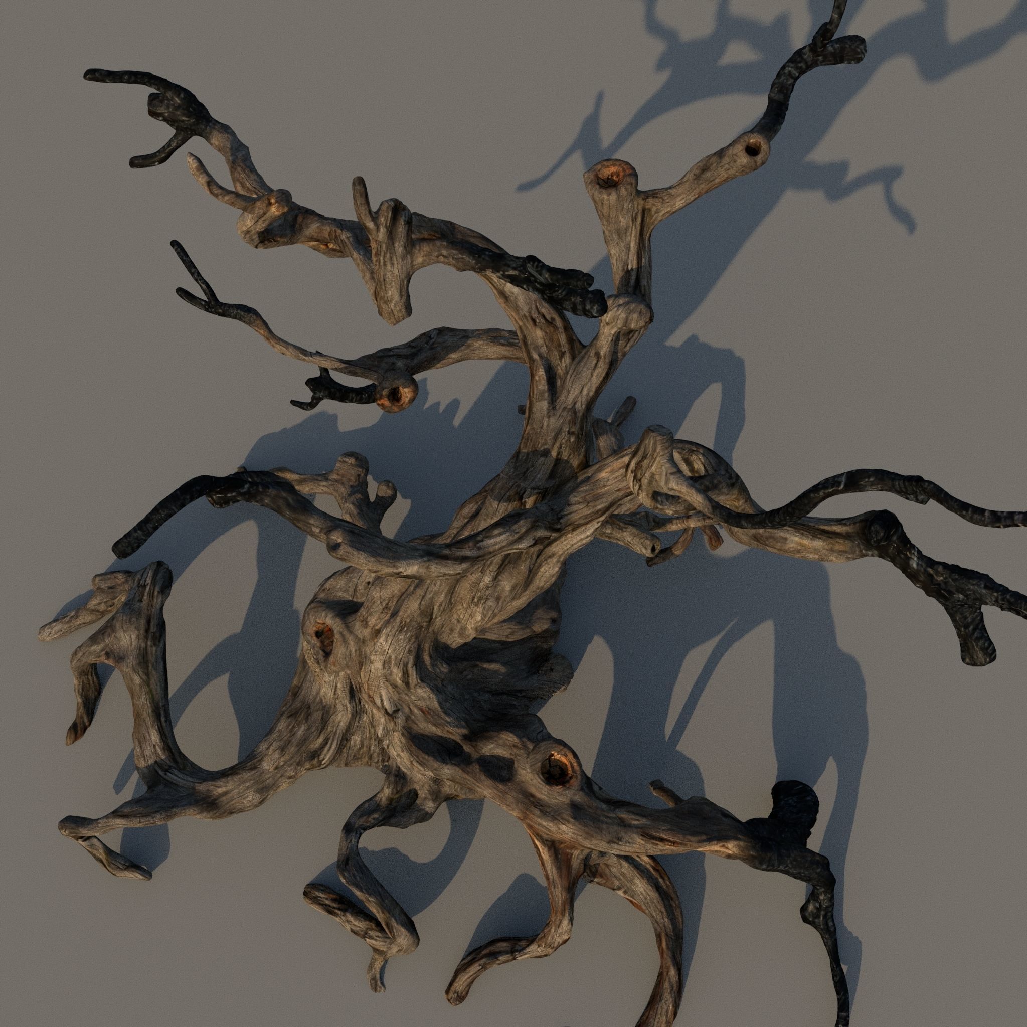 Fantasy tree 3D model | CGTrader