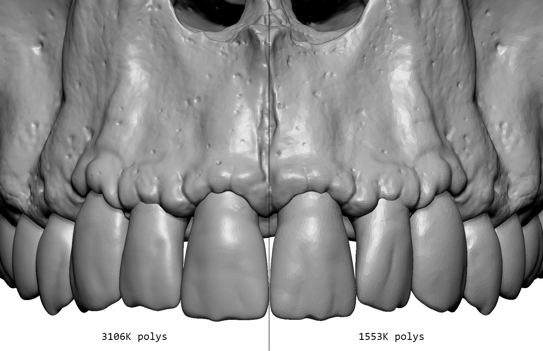 Female human skull- realistic 3d print model- 3 versions set 3D model ...